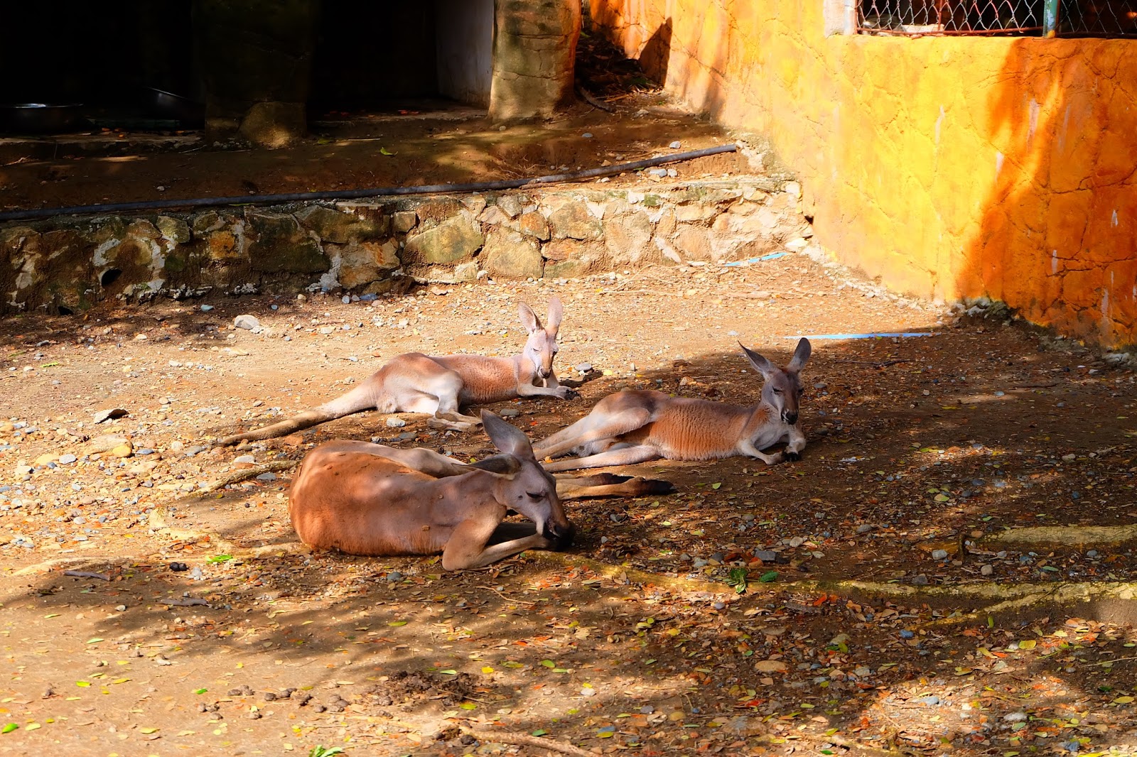 A Day Trip To Baluarte, Ilocos Sur - From The Highest Peak to The ...