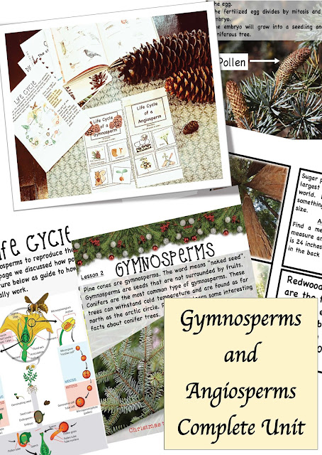 The Hermit Crabs Homeschool: Gymnosperms and Angiosperms Unit