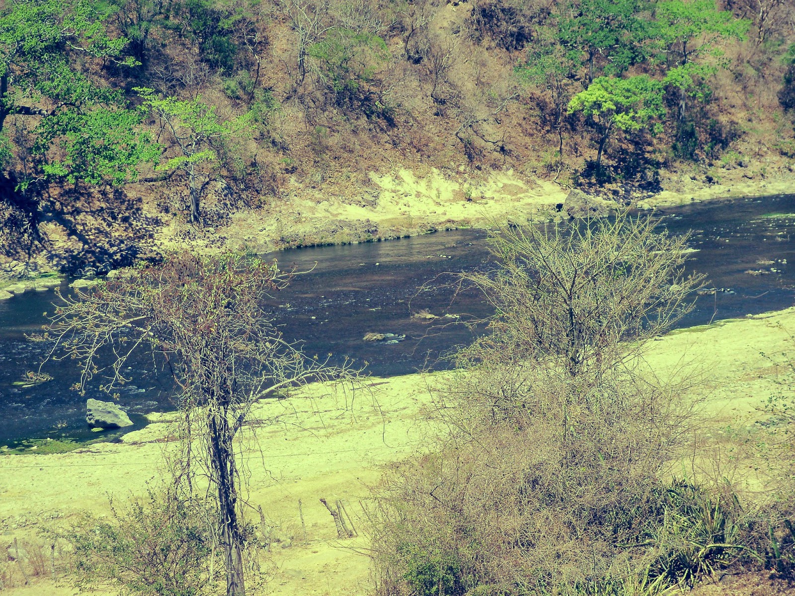 Fotos del Rio Paz visto desde el Cerro.