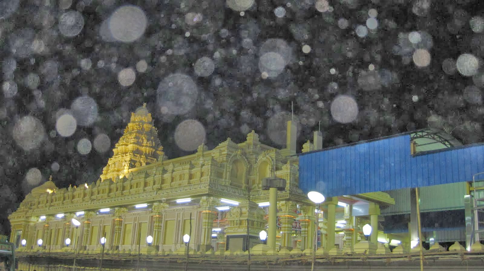 Vana Thirupathi - Punnai Nagar: Photos Gallery