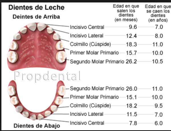 Ciencias Naturales CEUJA 2015