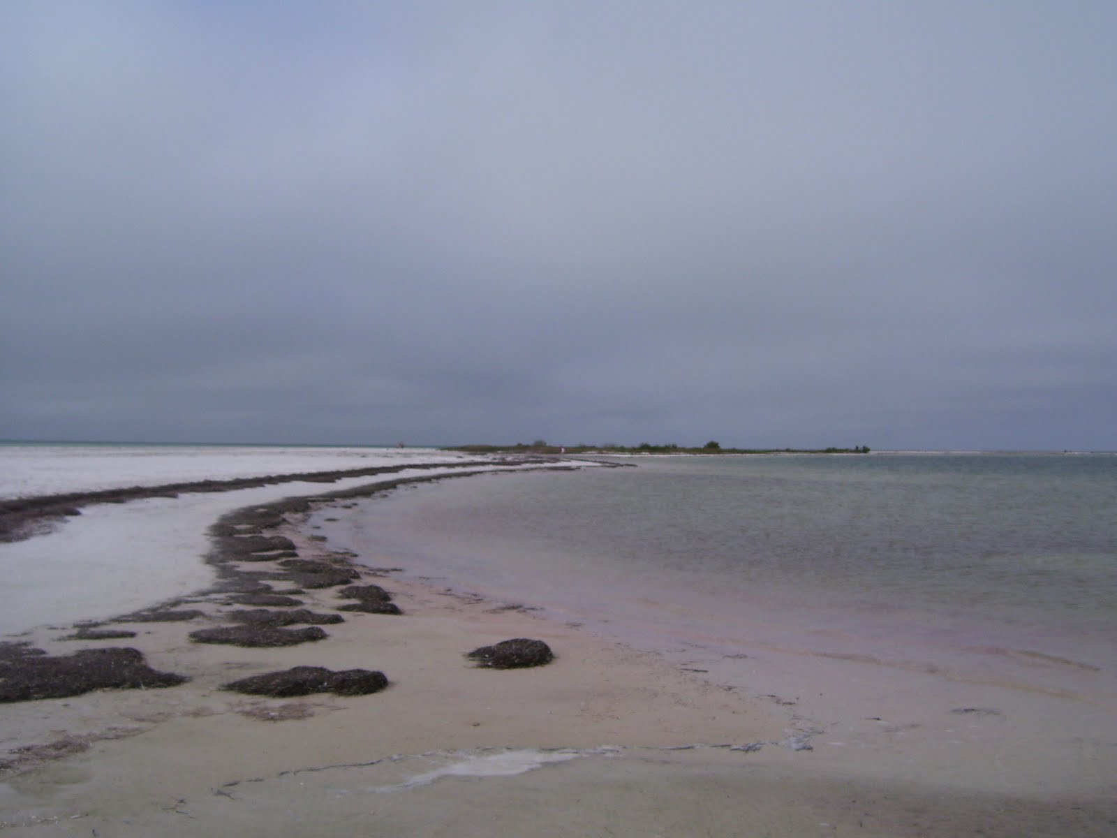 Sixbears in the Woods: North Anclote Bar