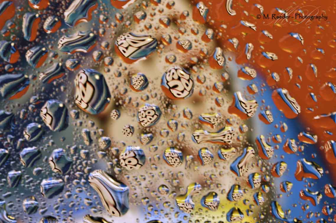 M. Raeder - Photography: Abstract Macro Photography