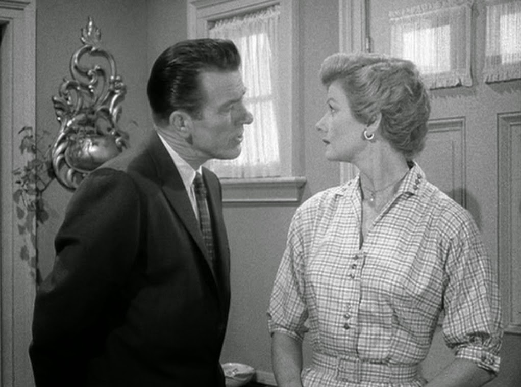 solidmoonlight: June's Dresses in "Leave it to Beaver"