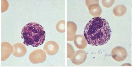 PENJELASAN GRANULASI, DEFINISI , TUJUAN DAN METODENYA.