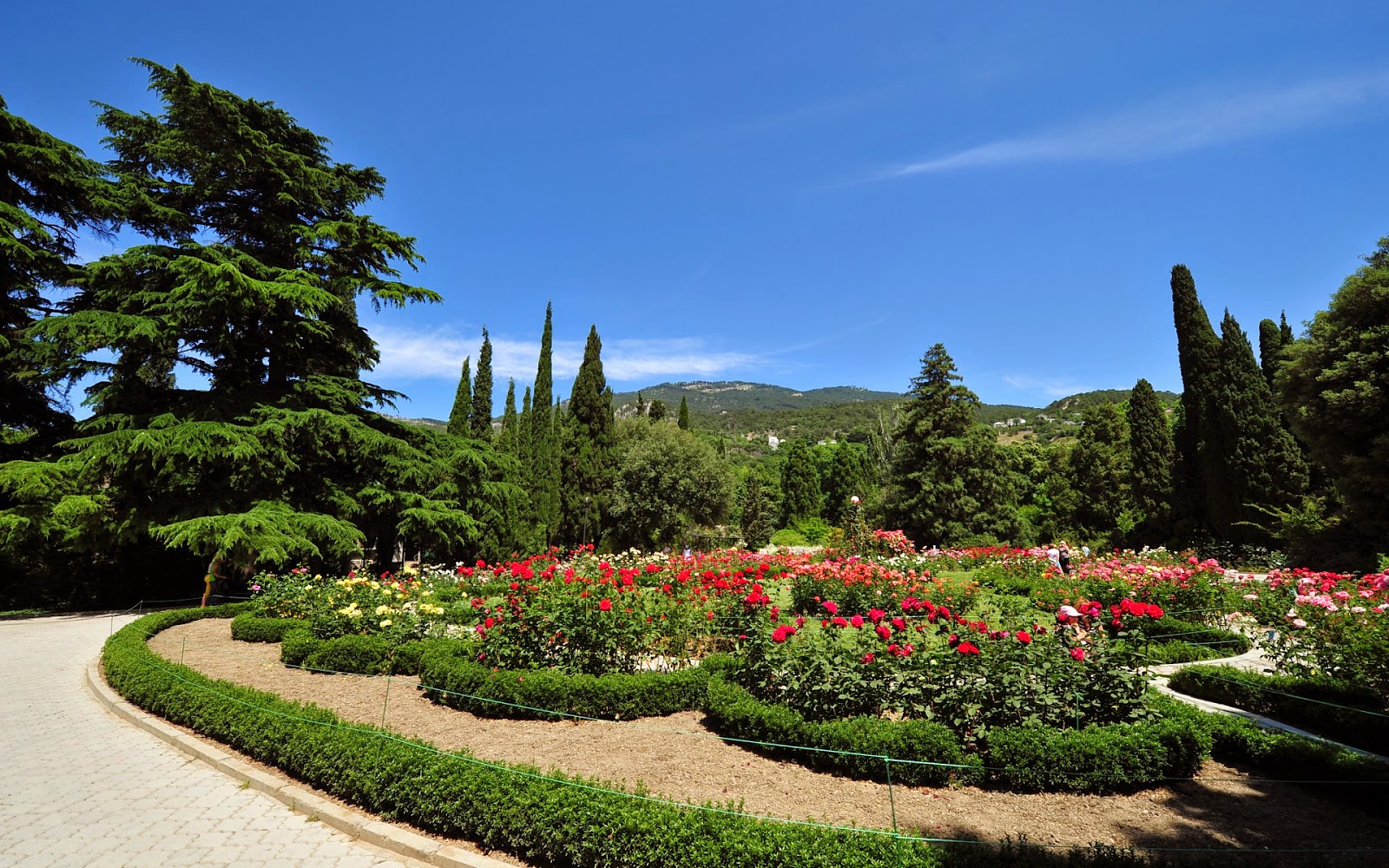 wellpaper,photo,pictures,images | Free Funny Images