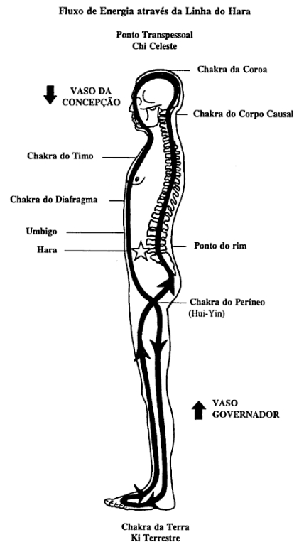 Um novo olhar - Setas para o infinito: Os Chakras da Linha de Hara ...