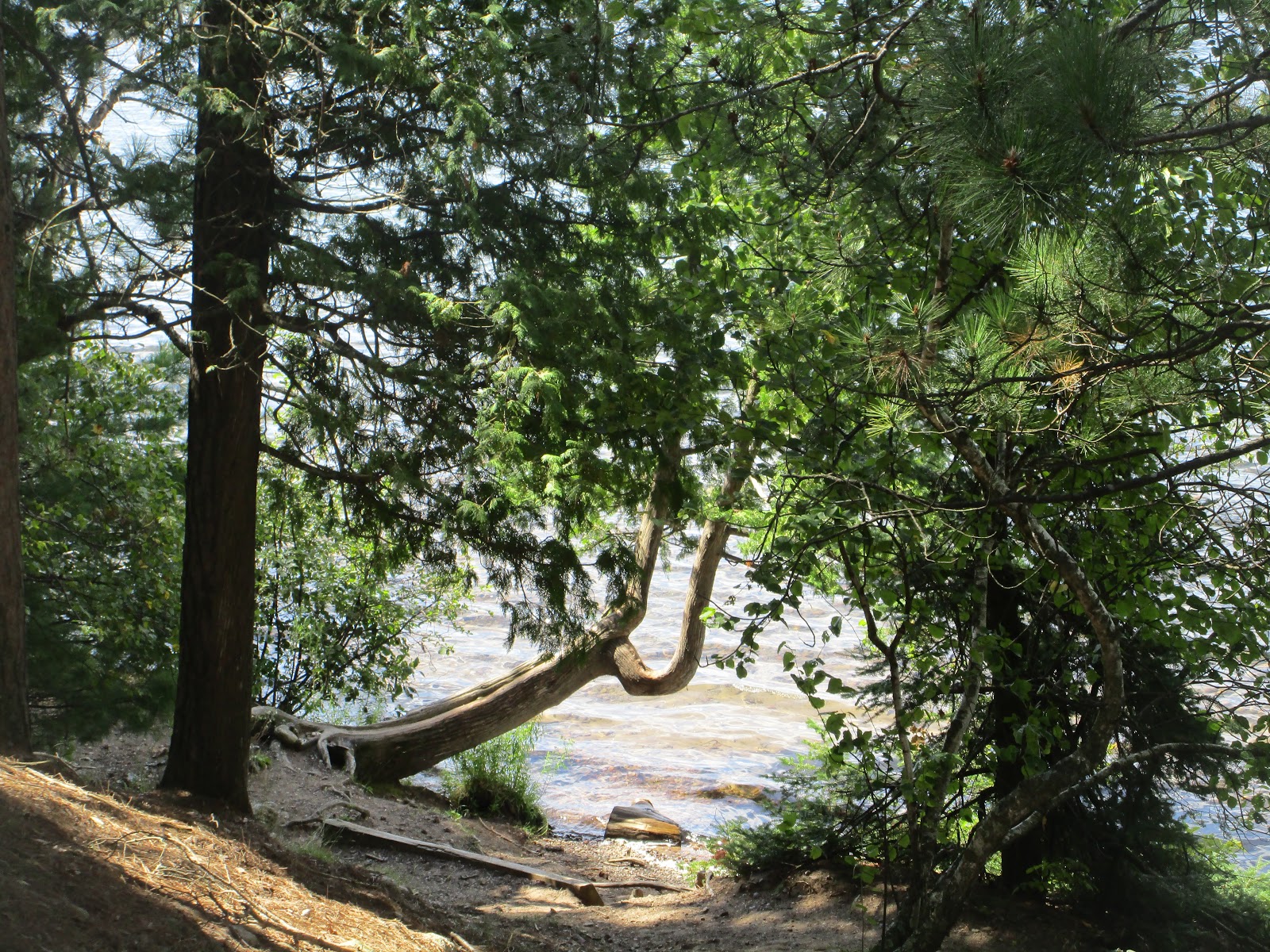 Dave's Yak Tales: Day 4, Little Spider Lake