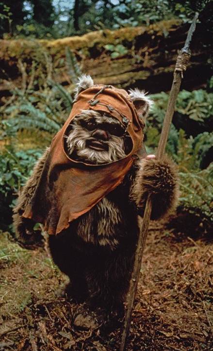 Ewok (Raza) - MonstruotecA