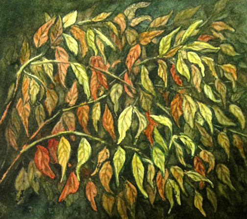 Southern Wisconsin Watercolor Society