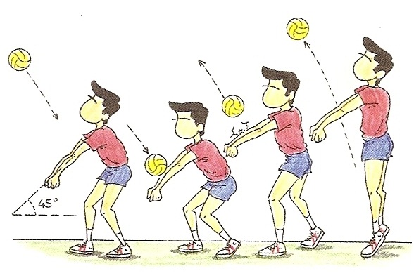 Fundamentos técnicos - Voleibol - Prof.Gregory