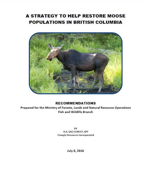 Vancouver Hunter: The BC Moose Report