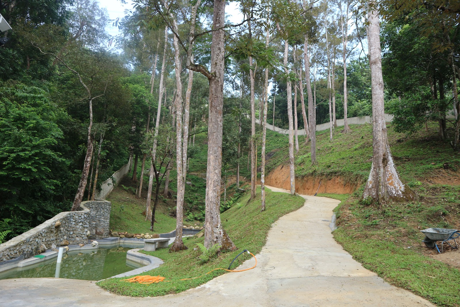 pagar pokok durian - Peter Hunter