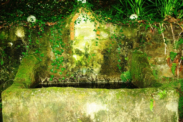 ASTURIAS para disfrutar: Sendas de Tuilla