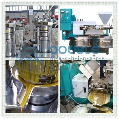 Best Oil Press Machine: How To Start a Vegetable Oil Press Business