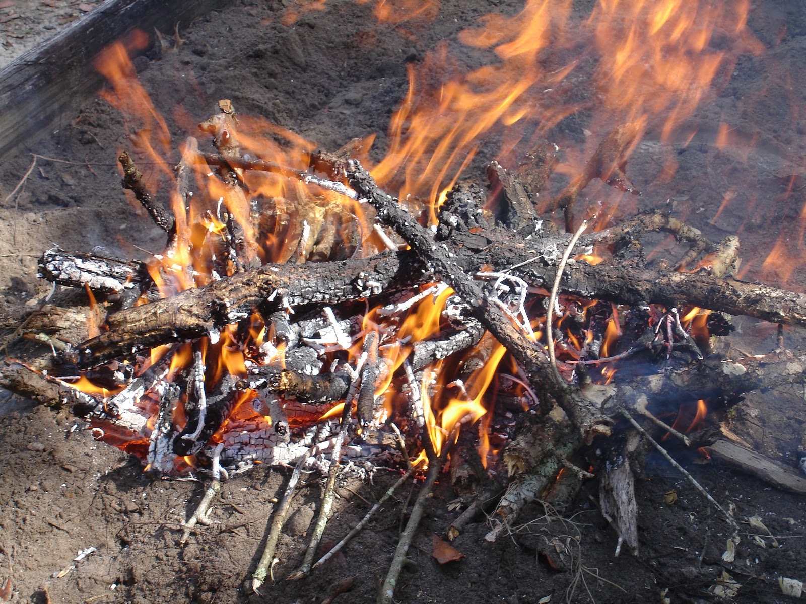 Blue Starr Gallery: Pit Fire Pictorial