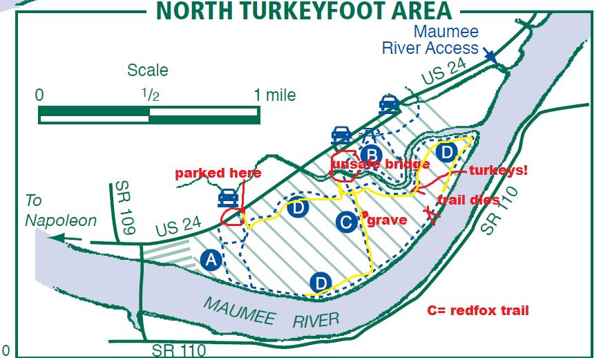 Tilting at Windmills: The North Turkey-trots