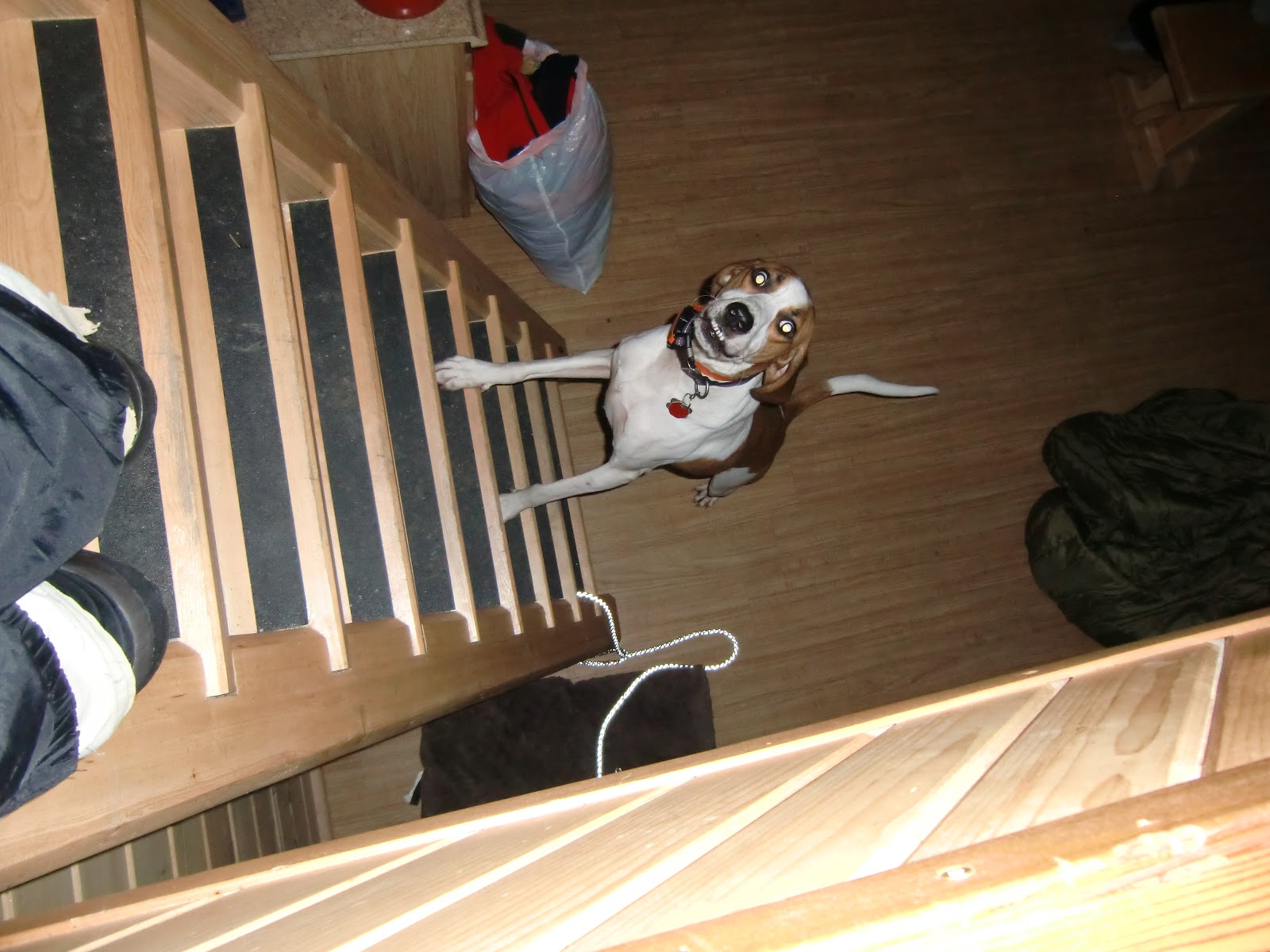 Our Alaska Adventures: Veteran's Day (Friday) - Berry Patch Cabin