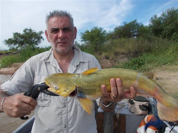 Area de Pesca: Especies: La manduva