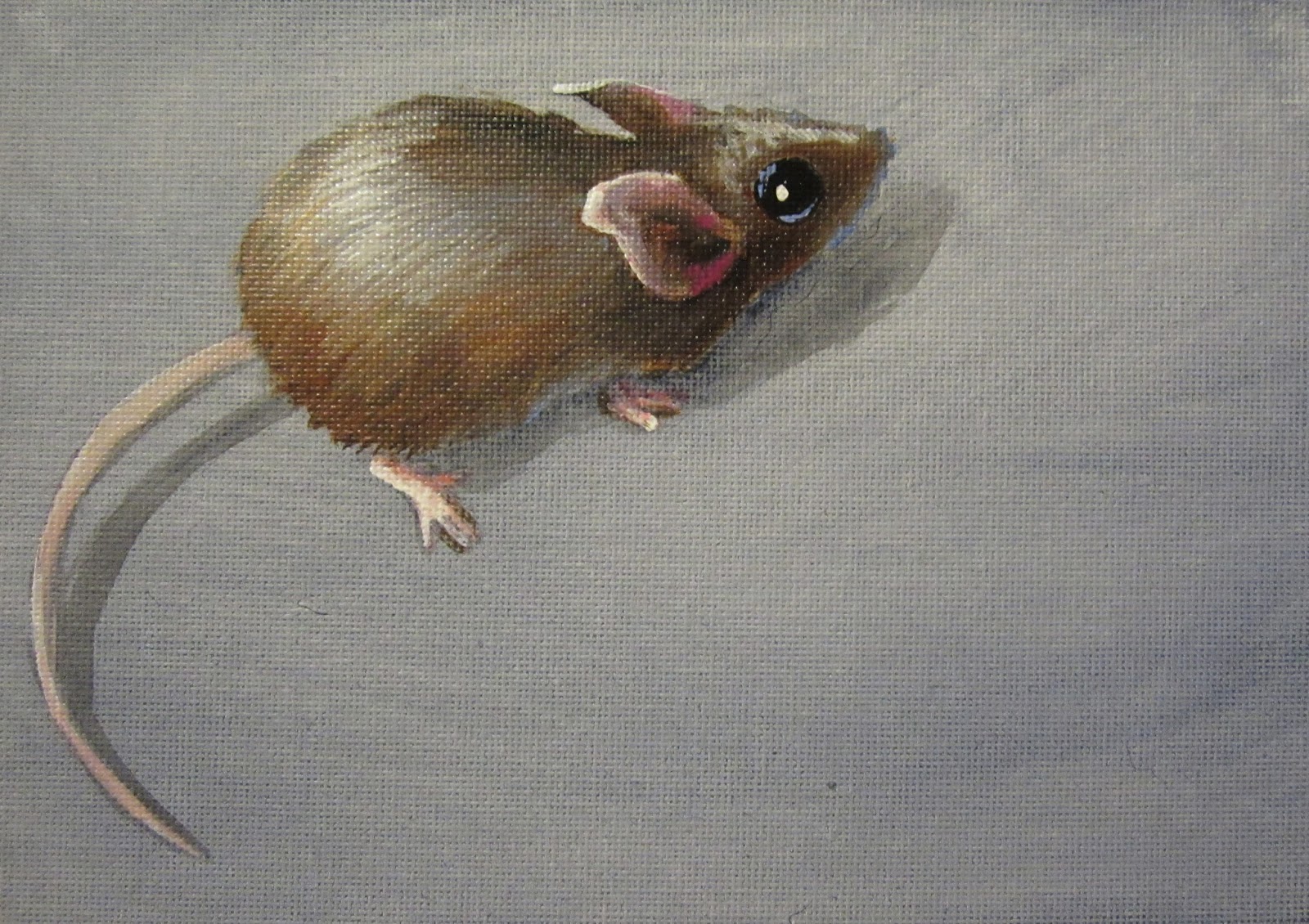 One Painting a Day: House Mouse
