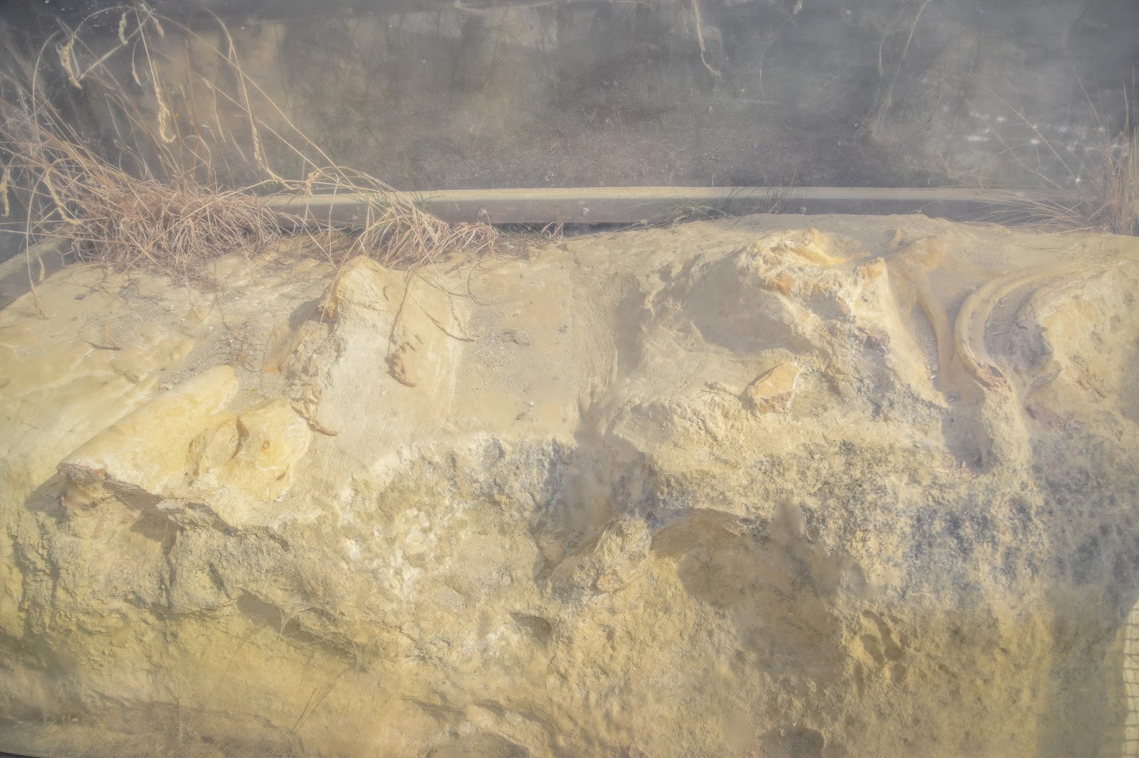 Paws Awhile: Duntroon - Waitaki Valley