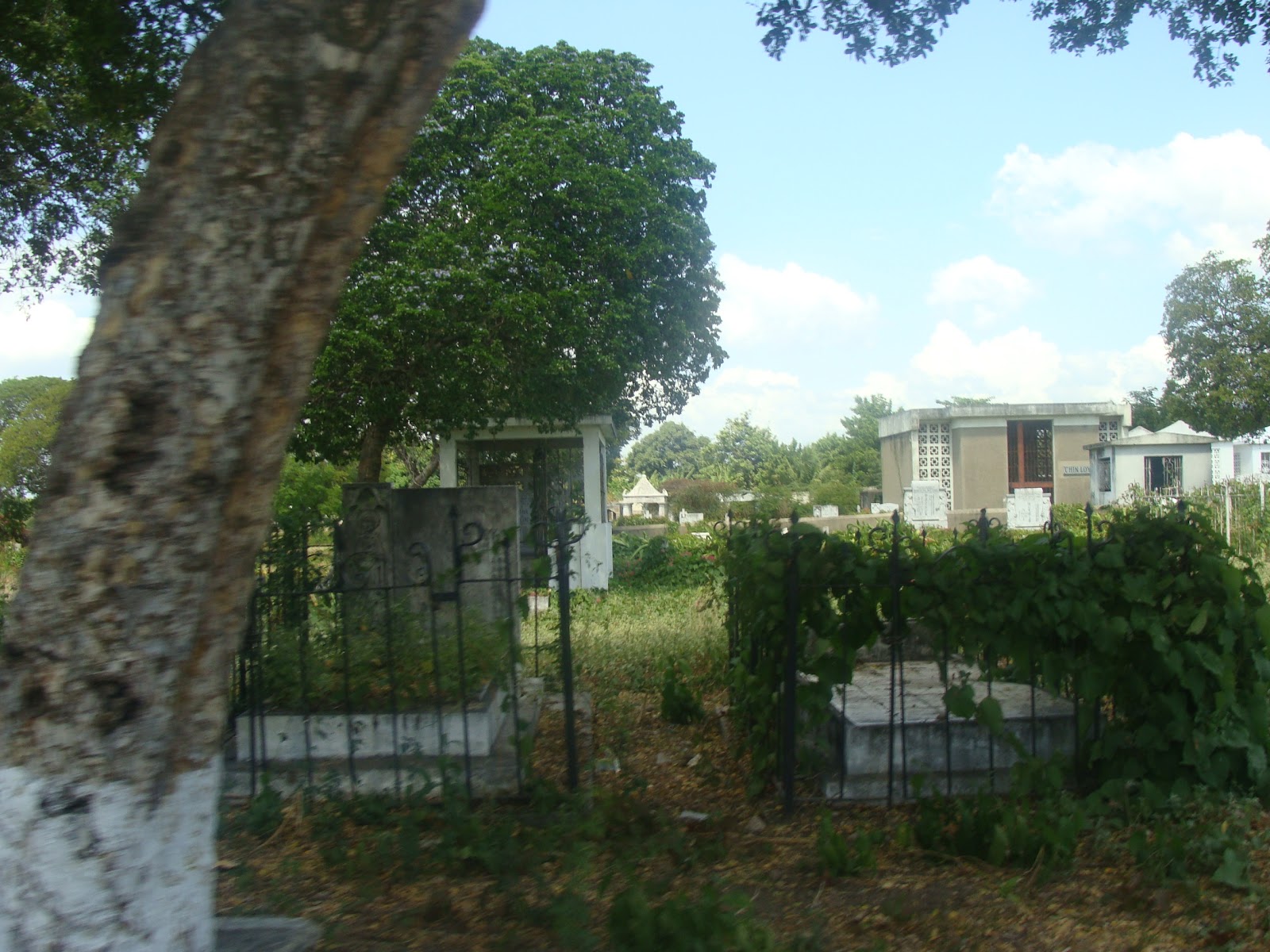 Jamaica Bound: Brooks Family Adventures Before, During and After the ...