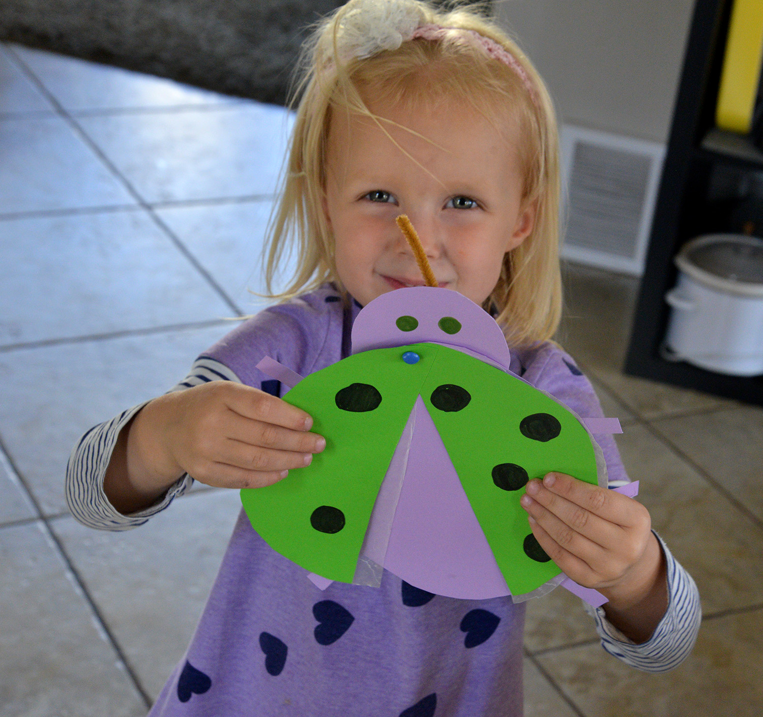 A school of fish: Ladybug Models