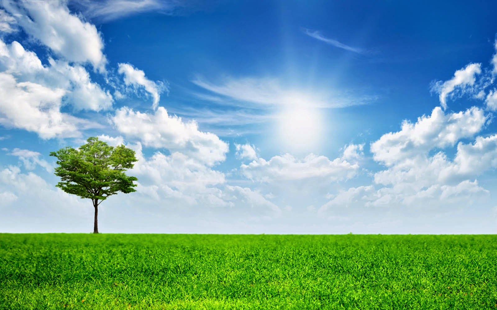 AS MAIS BELAS IMAGENS DA NATUREZA