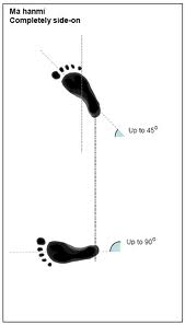 BUDO TOLEDO: DACHI WAZA: POSICIONES