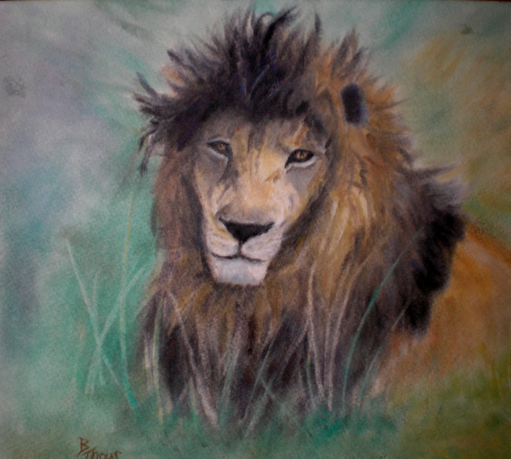 Brenda Thour's Art Blog: Lion's Gaze