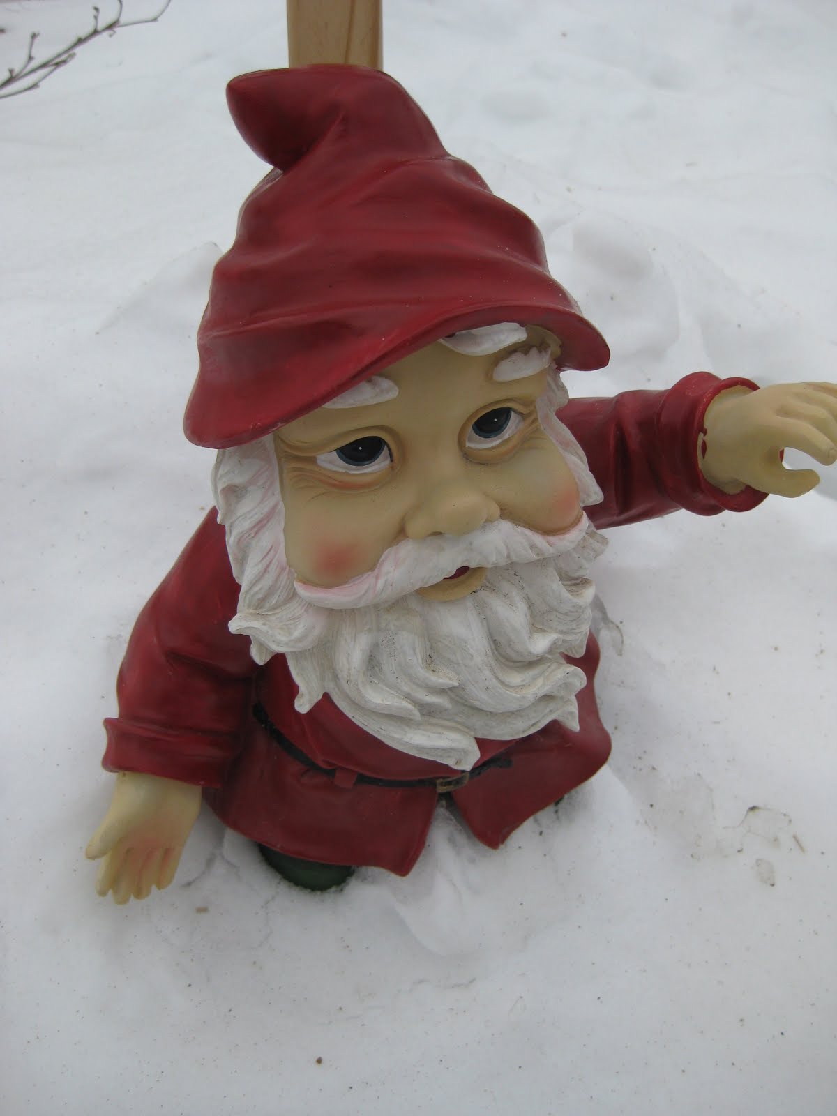 Rotary Botanical Gardens - Hort Blog: Chocolate & Snowdrops (?)