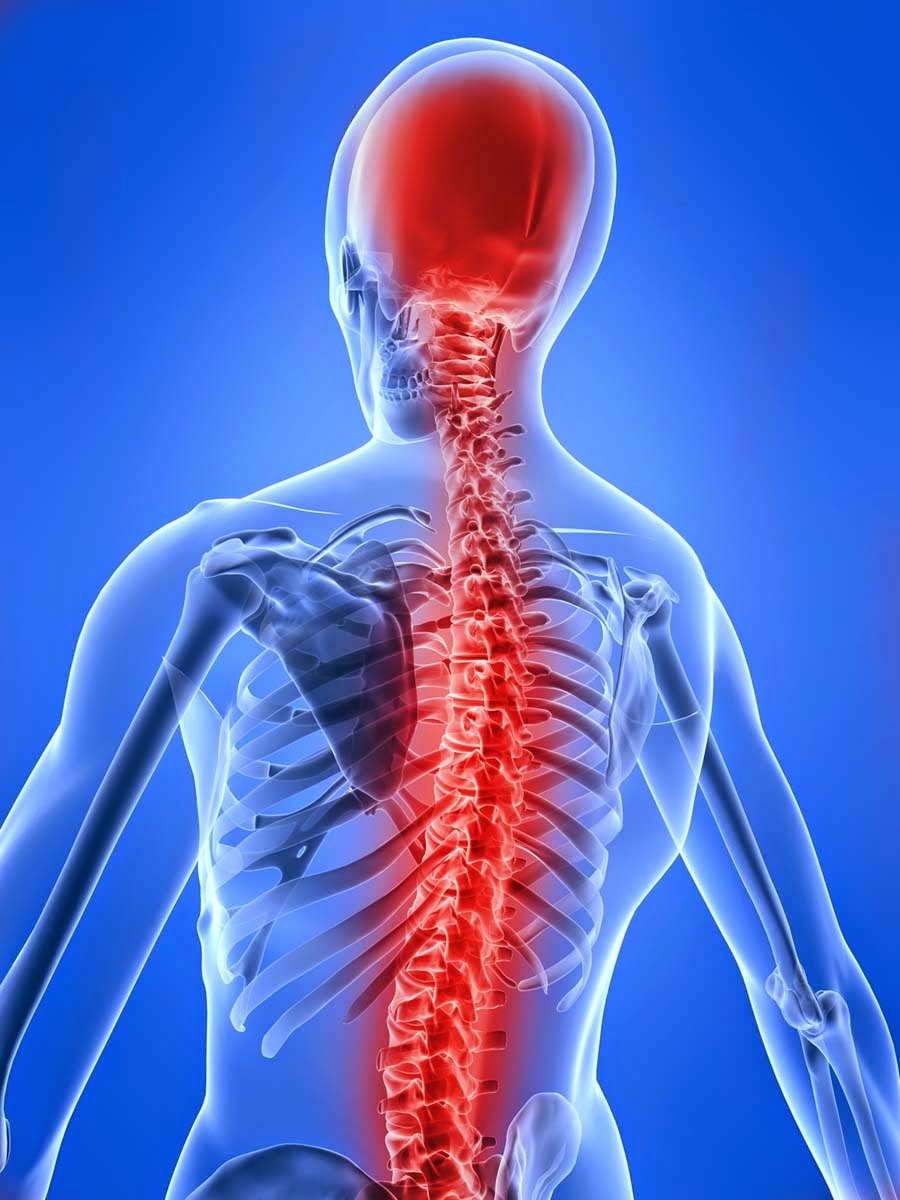 Hidup Adalah Pilihan!: Sistem Saraf Manusia - Otak, Saraf Tunjang Dan ...