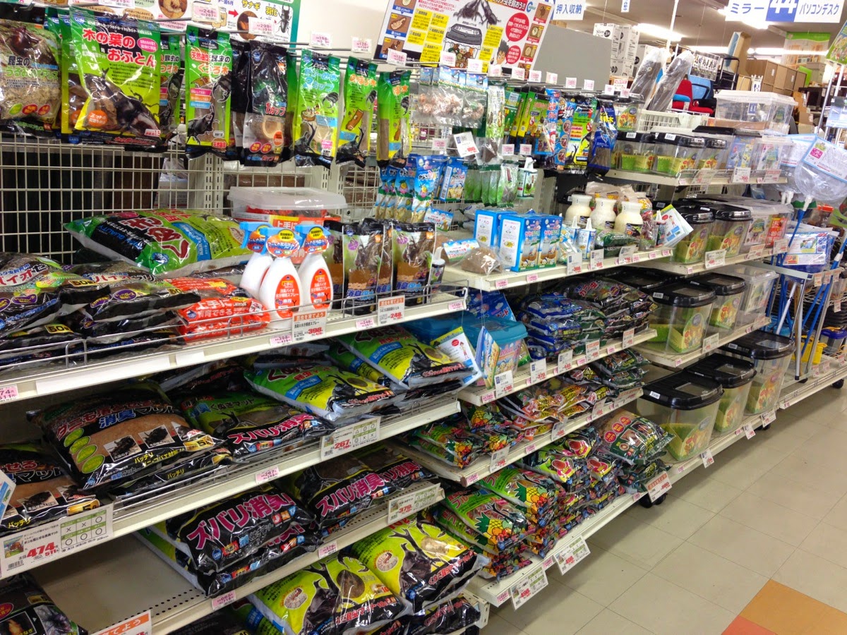 Life in the Land of Wa: The Insect Isle