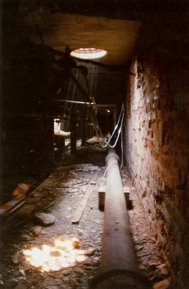 nailhed: One Snooped Under the Cuckoo's Nest (Eloise Asylum Pt. 2)