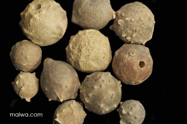 Natural Dyes - Mordants Part 2 - the MAIWA BLOG