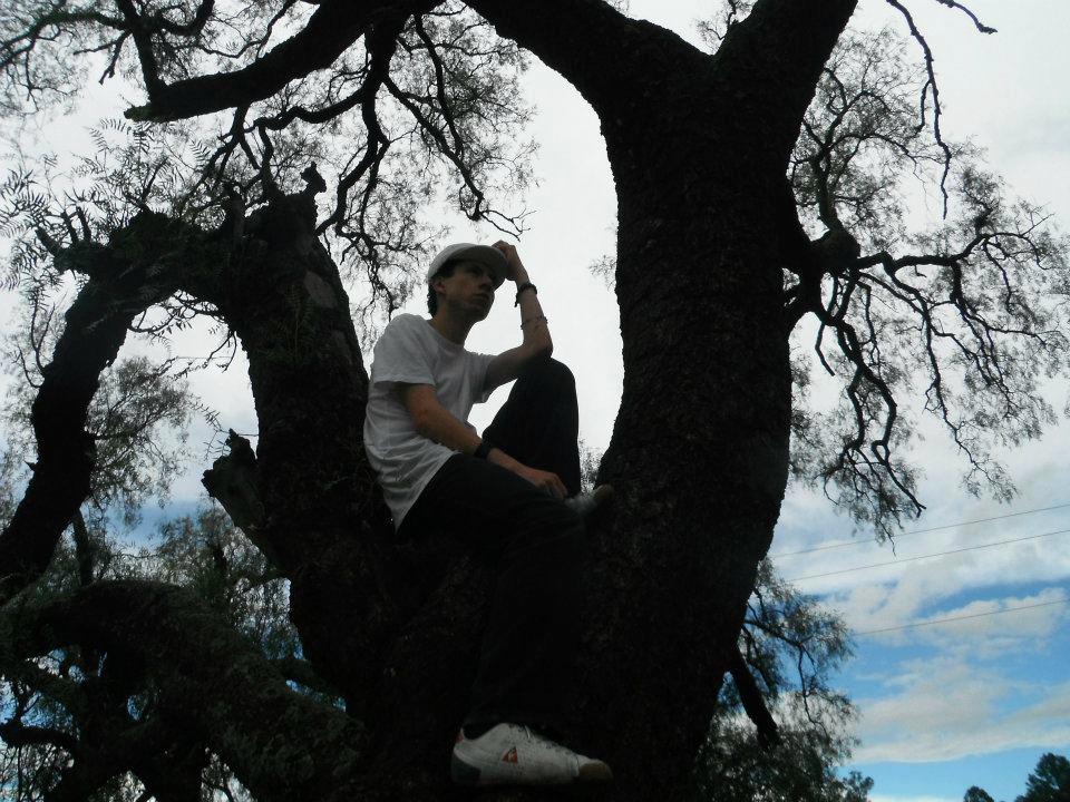 FERNANDO ZALDO