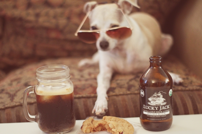 HAPPYHAZEL: Coffee and Cookie with Style...for Mondays, Not for Dogs