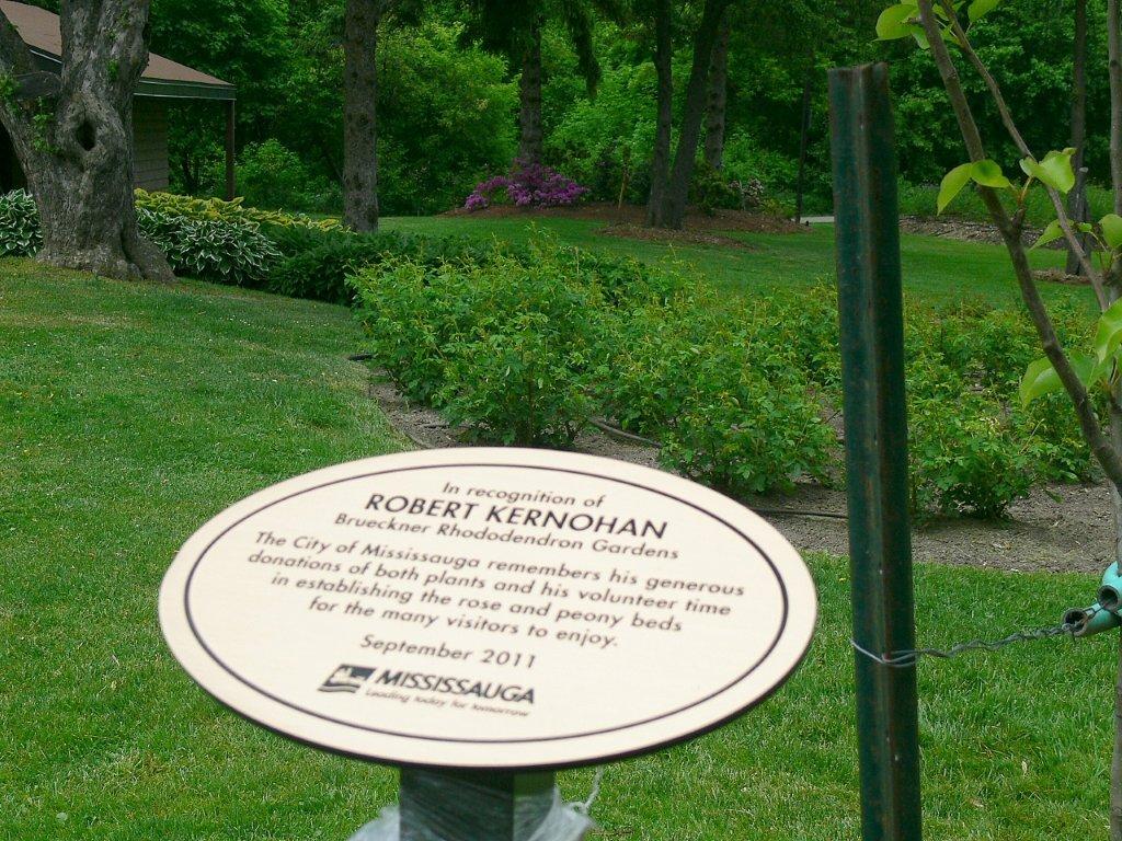 Brueckner Rhododendron Gardens: Annuals, Plaques, Rhododendrons Spring ...