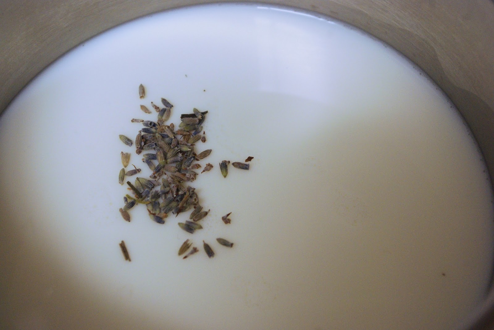 Melting Mug: Recipe - Honey Lavender Hot Chocolate