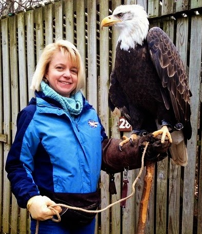 World Bird Sanctuary: Python regius – The Ball (Royal) Python