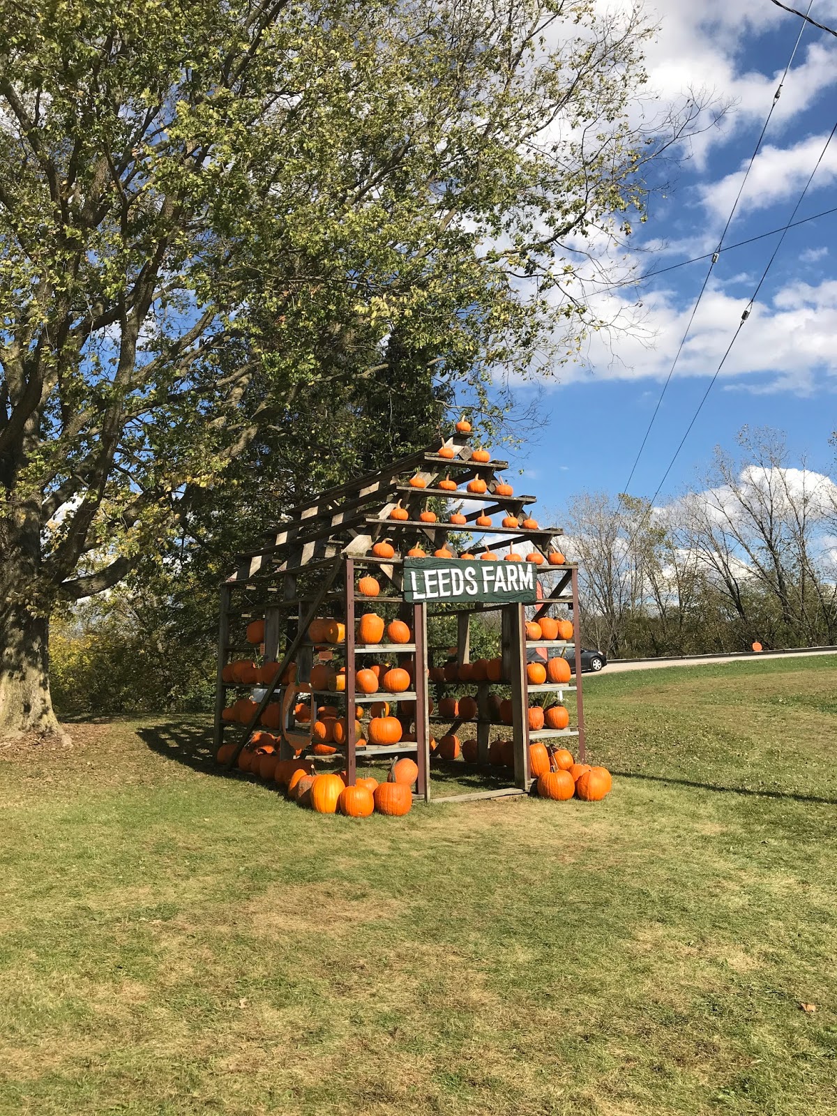 KEEP CALM AND CARRY ON: LEEDS FARM 2017
