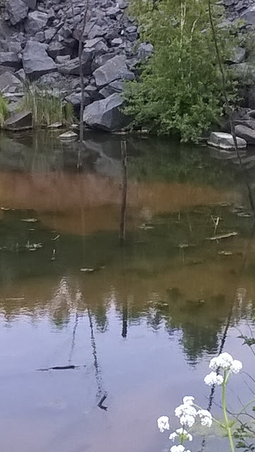 Lake Superior Rift Change: The Keweenawan Rift Seismic Activity: Fwd ...