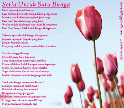 Puisi Setia Untuk Satu Bunga | AJP Creations