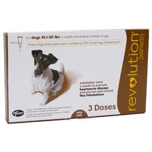 Singpet Pte Coupon Code - upto 20% off Singpet Pte Coupon Codes