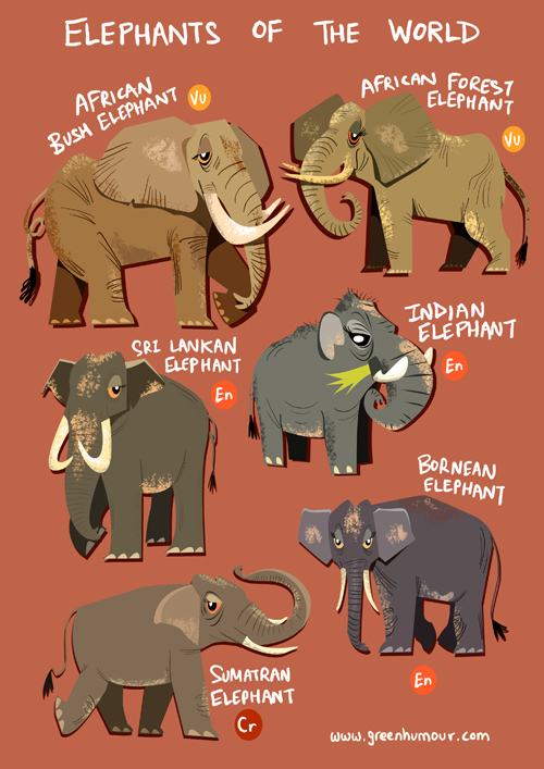 Green Humour: Elephants of the World