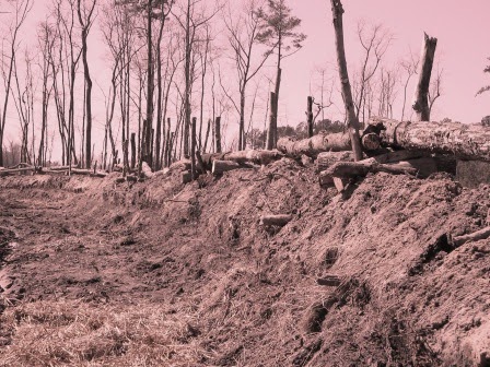 ONCE A CIVIL WAR: June 3, 1864---Slaughter at Cold Harbor