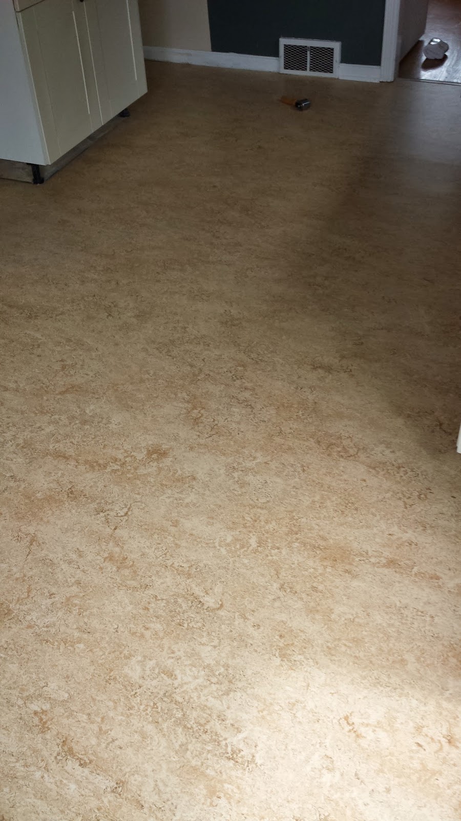 One Step Further: Kitchen Installed with Marmoleum Real, Shell #3075