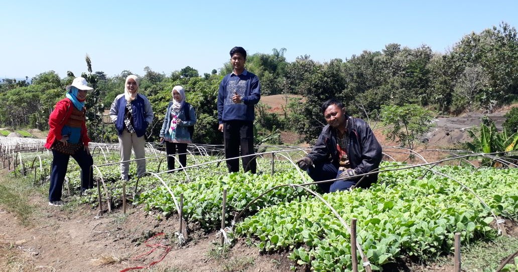 Kebutuhan Benih Tembakau Dipenuhi Penangkar Dan Petani - Berita Wawancara