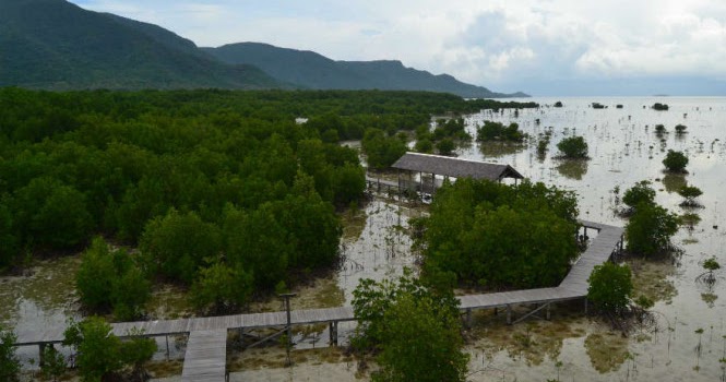 DOMINO99 - Bagaimana bisa Pulau Indonesia mendapat Penghargaan ...