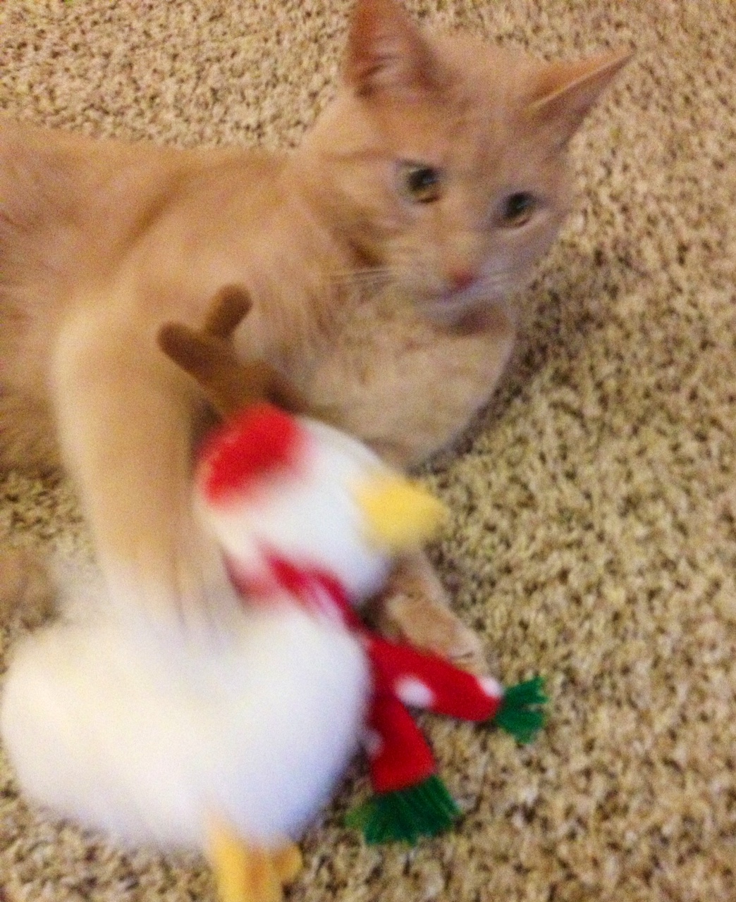 SusieQTpies Cafe: Aflac Holiday Duck Program Helps Fight Childhood ...